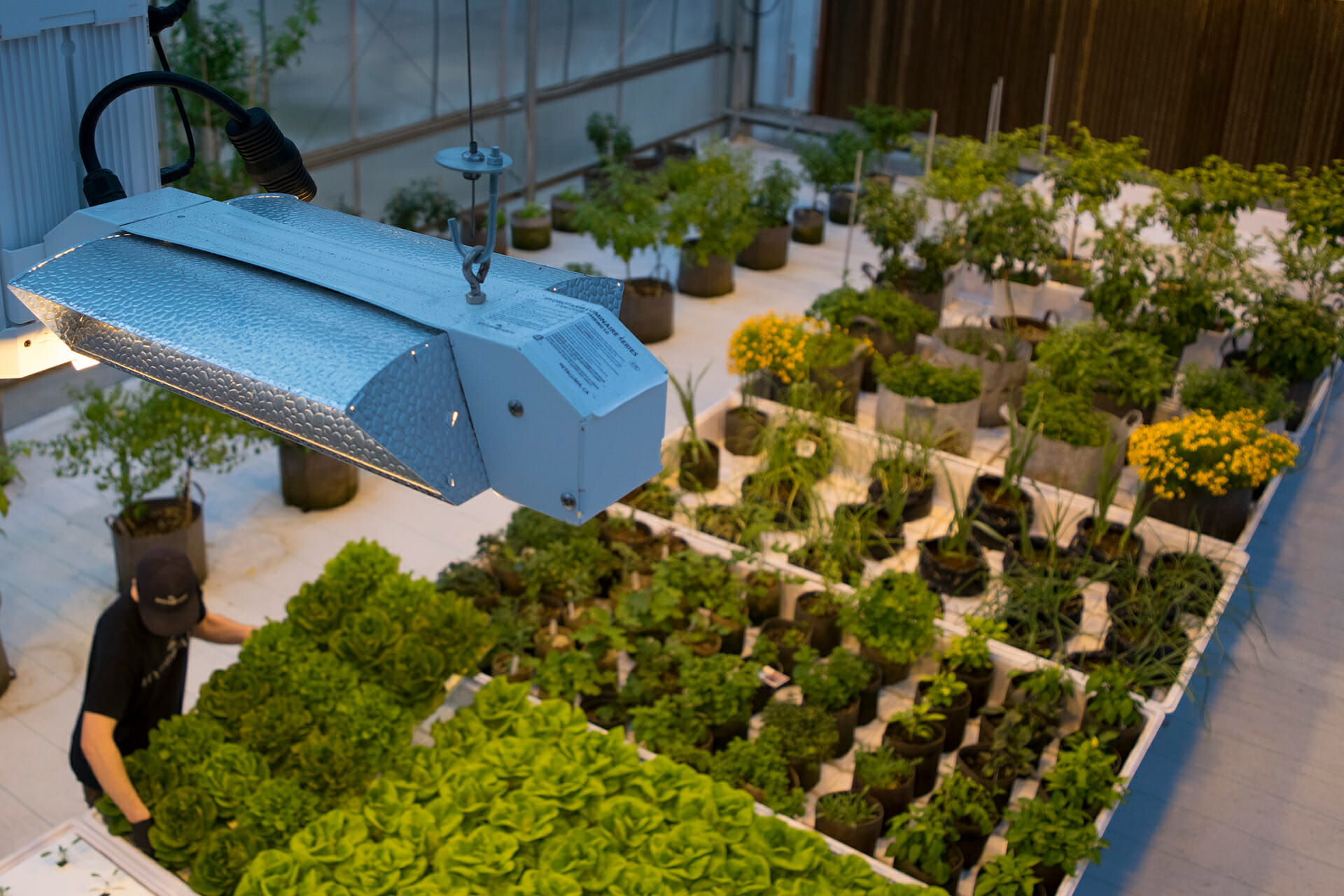 Hydrofarm Commercial Presentation - Innovative Growers Equipment ...